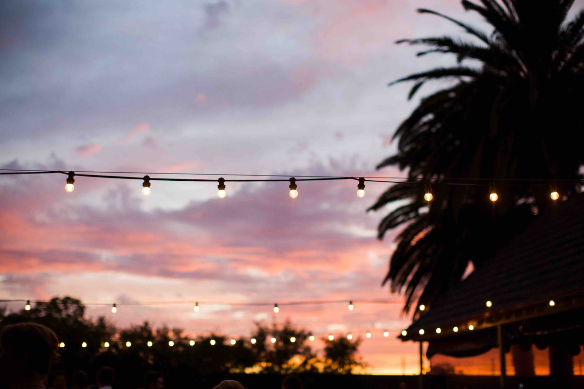 IP Ratings Explained (IP44 vs IP65 Festoon Lights) | LiquidLEDs®