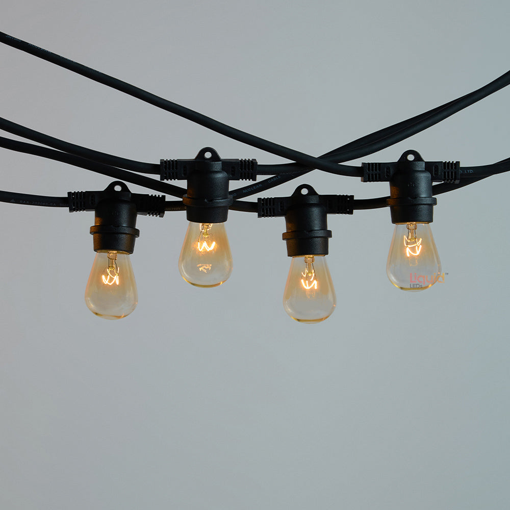Buy LED Festoon Lights | Festoon Lights Bulbs in Australia – LiquidLEDs
